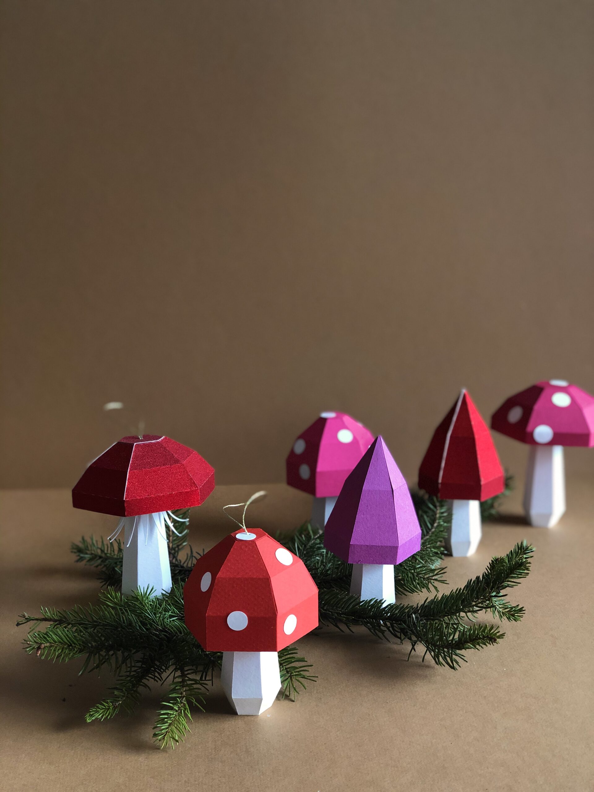 DIY Champignons