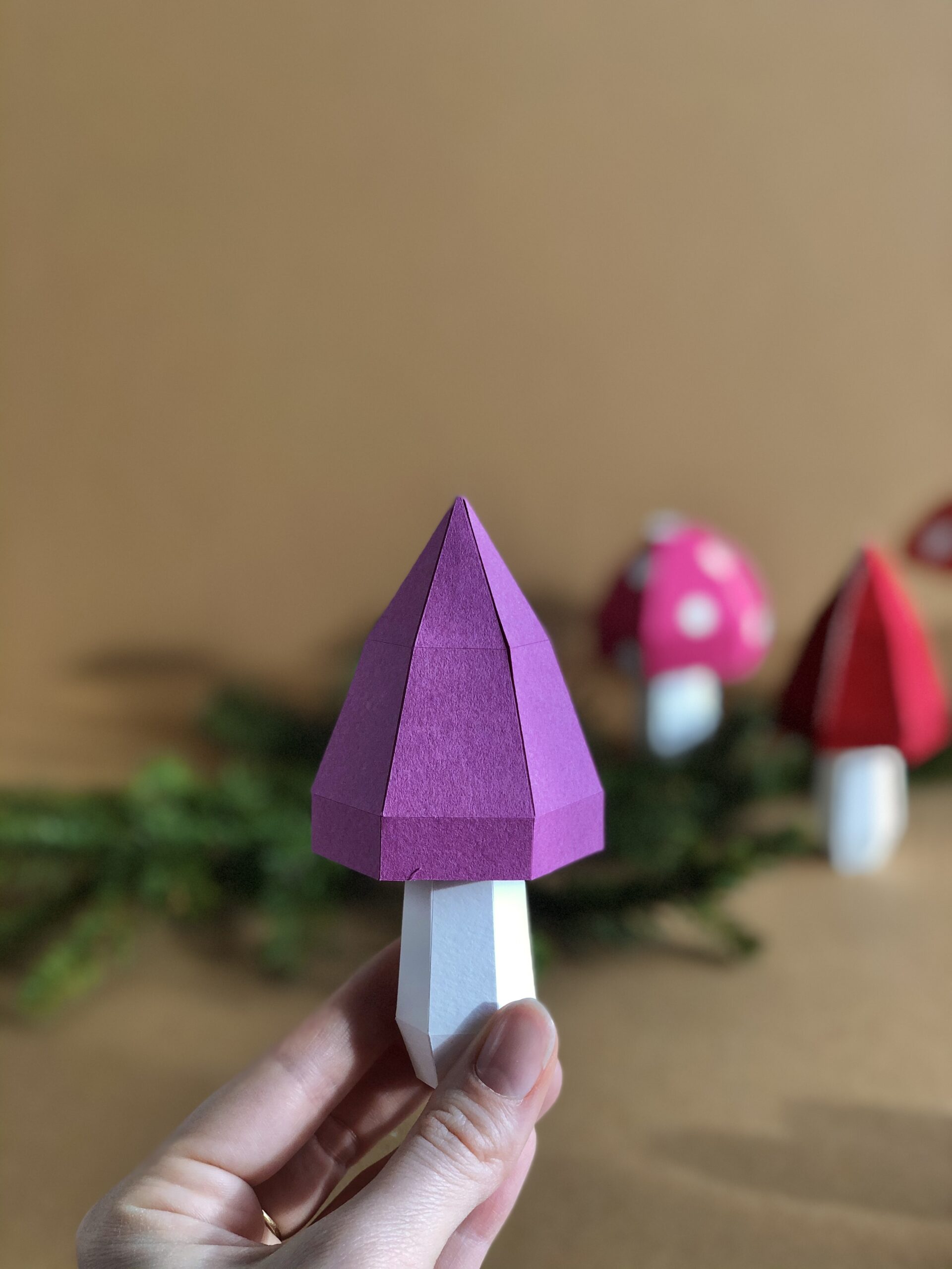 DIY Champignons